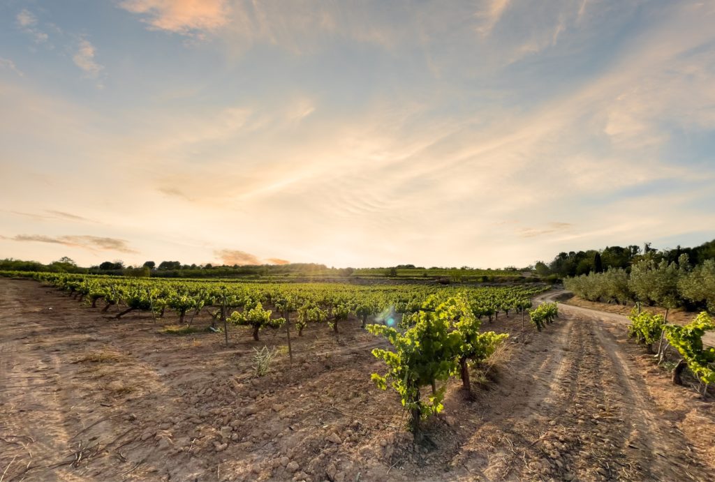 RESERVAS - Bodega La Casa de las Vides